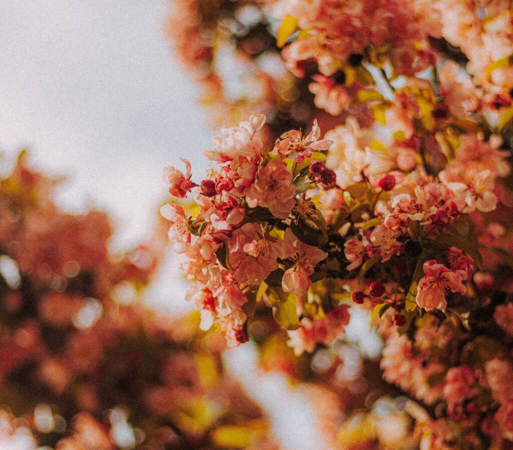 Everybody's Normal – Everybody’s Normal Official Website